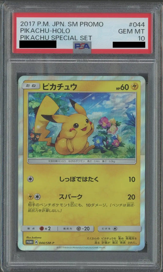 鑑定品 – 晴れる屋2